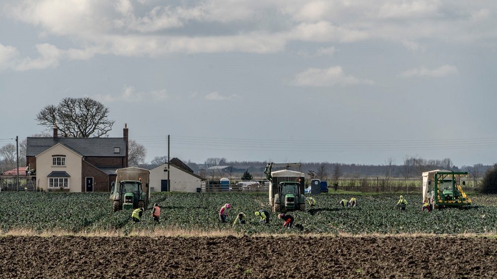 Understading How Wealth Is Tied To Wealth In The UK – Reportingly